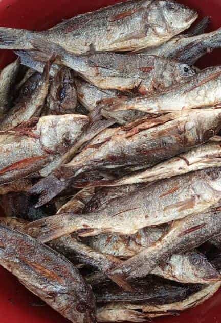 Kuhe Za Kukaangwa — The Great Smart African Market